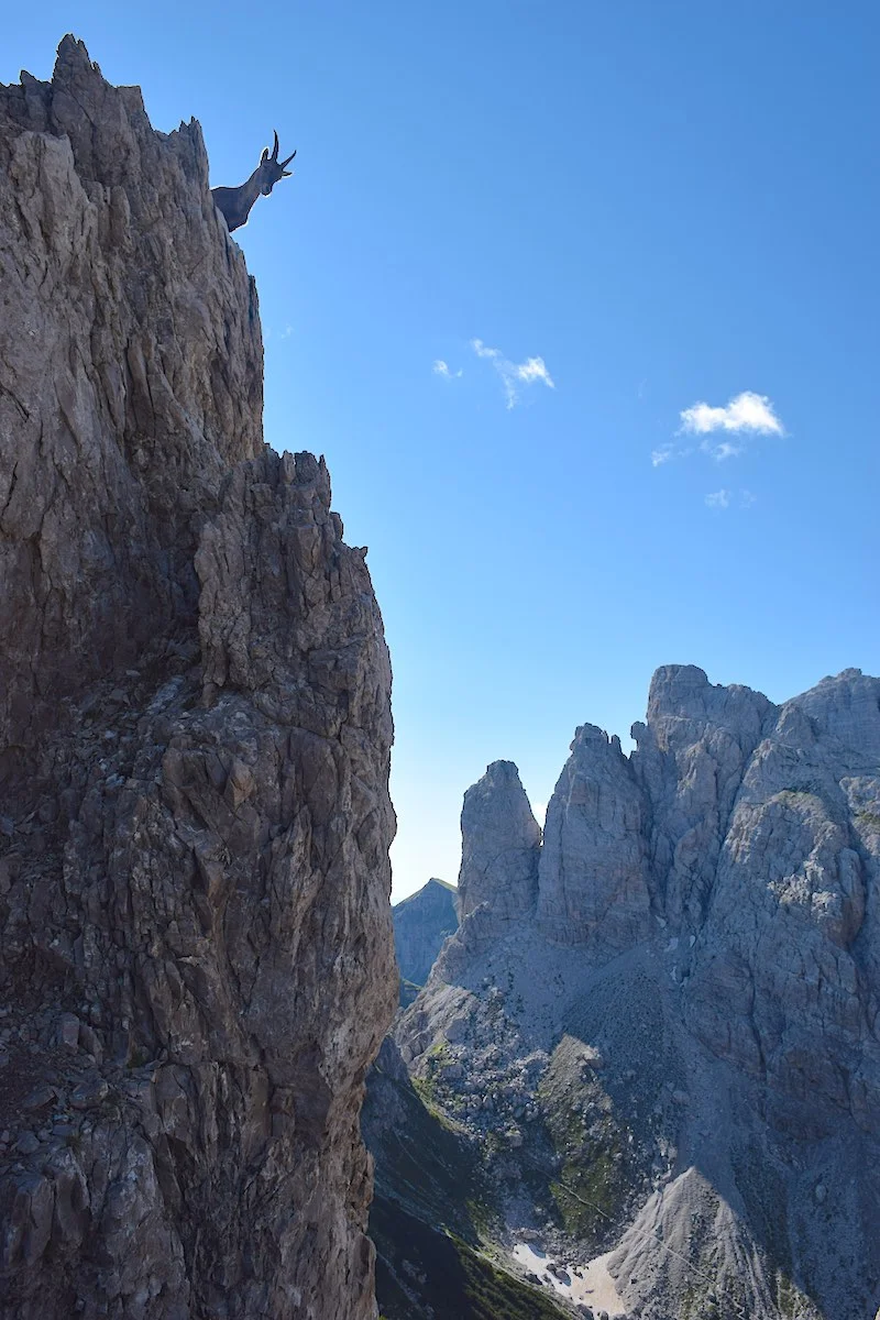Via Alpina - Dolomiti Friulane